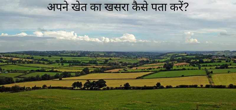 Khatauni, Khasra, Khata / Khatiyan - जानें भूलेख से संबंधित इन शब्दों ...